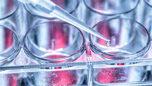 Five Intelligent Ways To Accelerate Cell Line Development